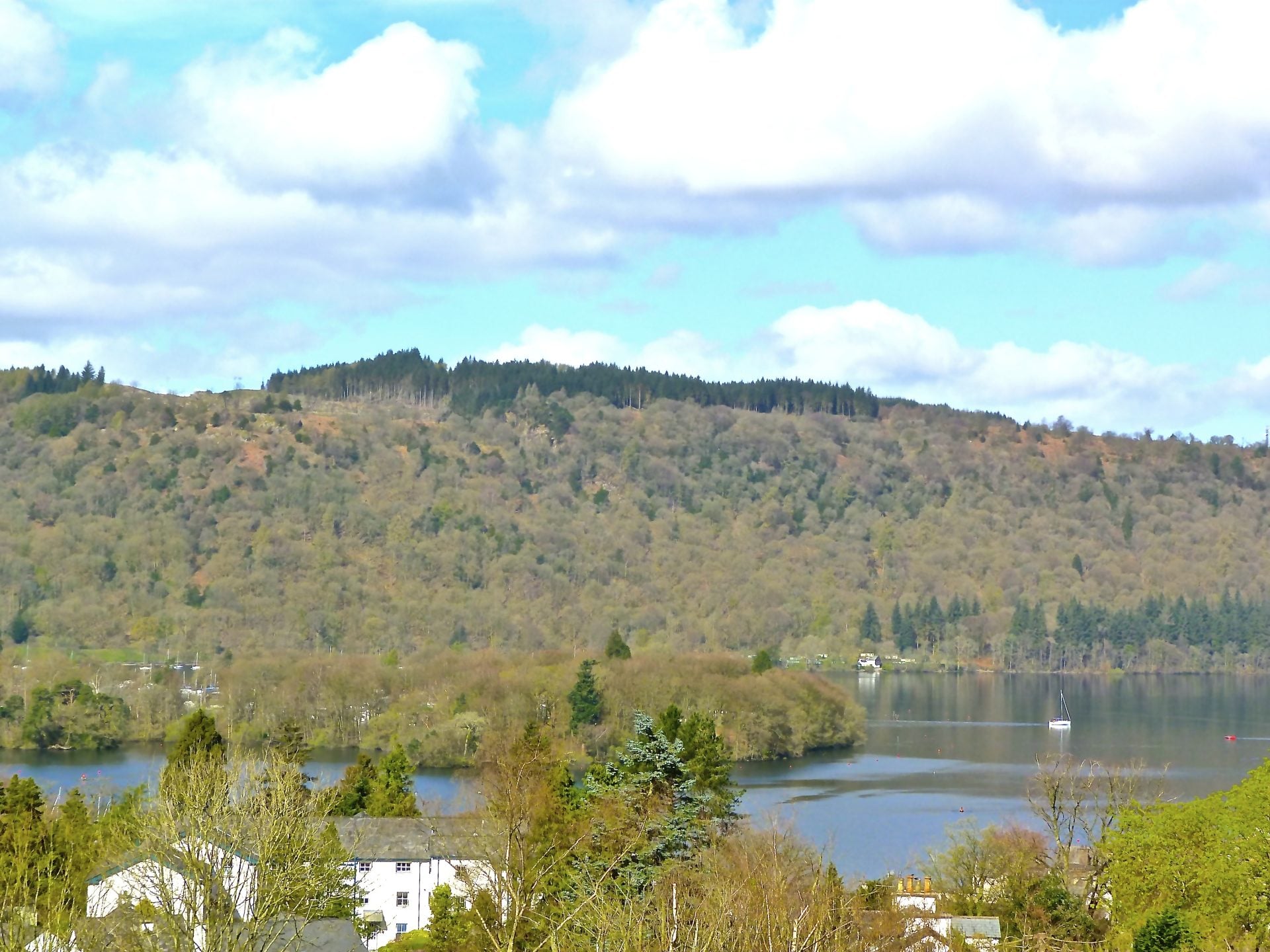 Another sunny Spring day! - Blenheim Lodge