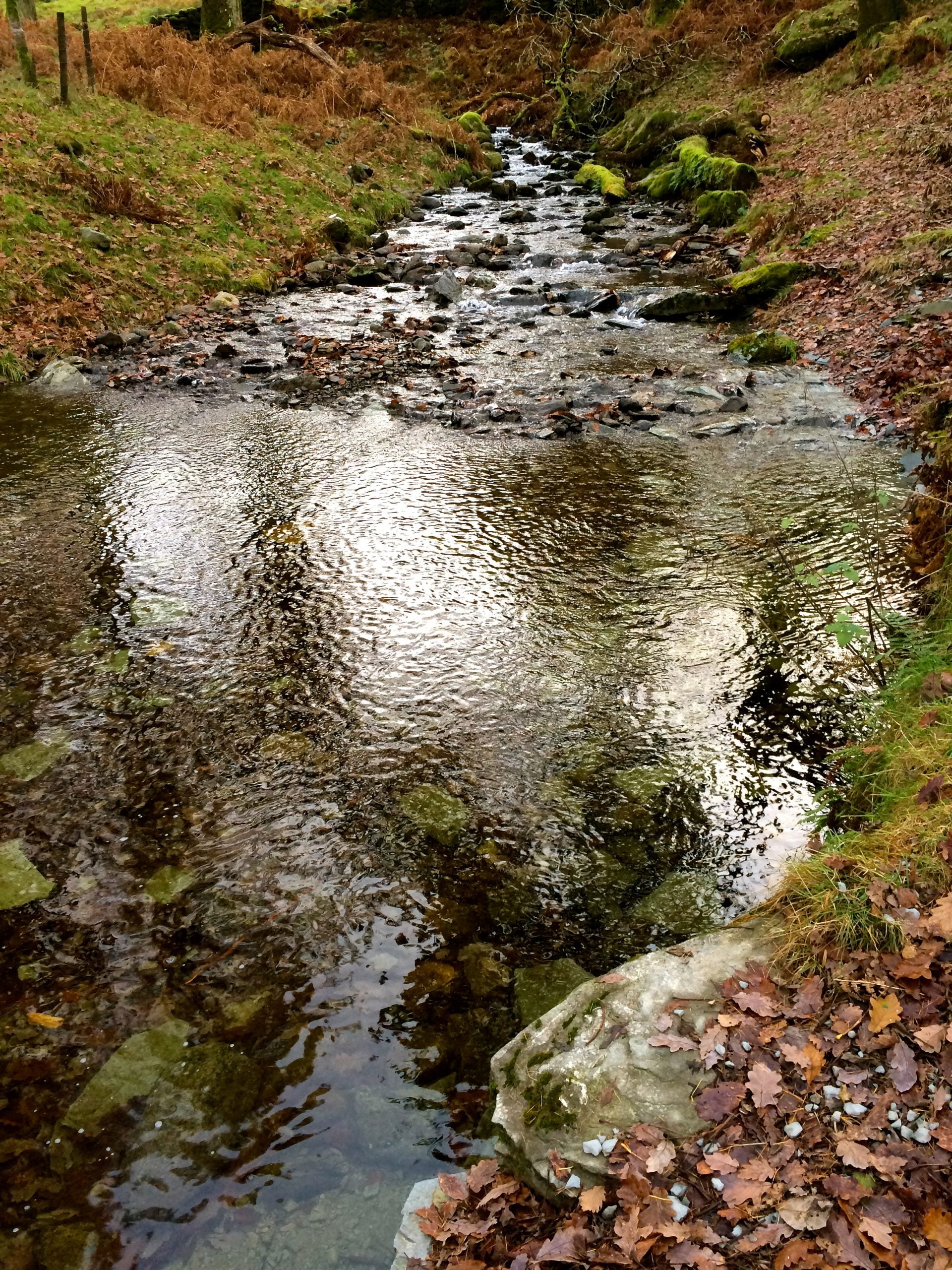 The Lake District National Park: beautiful in all seasons - Blenheim Lodge