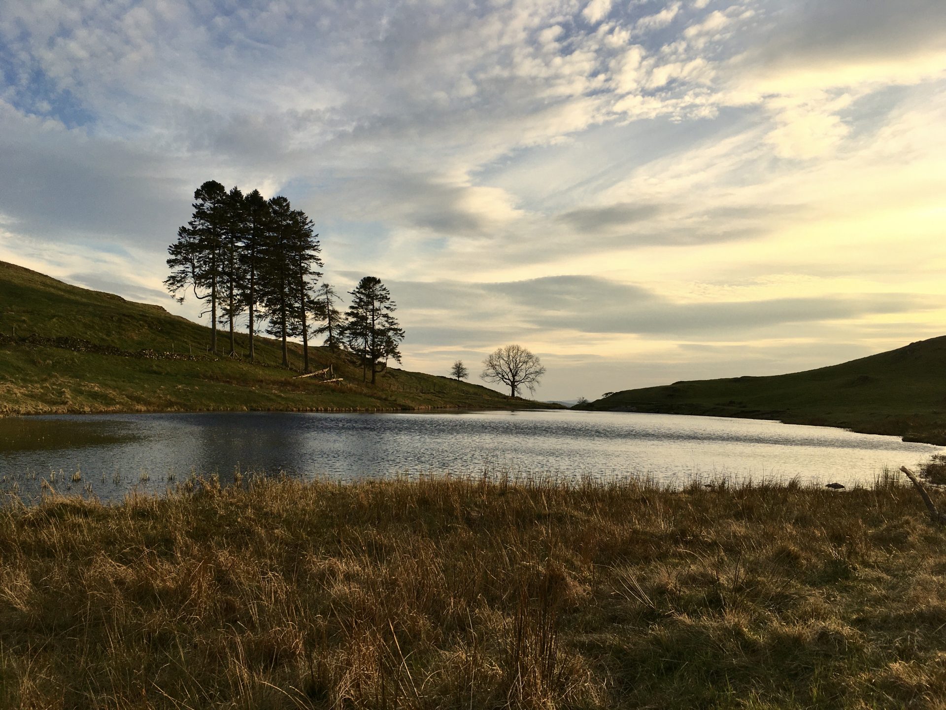 Another sunny Spring day! - Blenheim Lodge